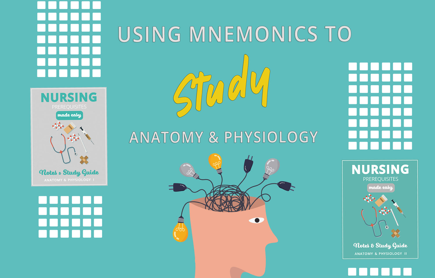 Using Mnemonics to Study Anatomy & Physiology – Nursing Prerequisites ...