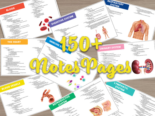 Digital Download | Anatomy & Physiology – Nursing Prerequisites Made Easy Digital Download | Anatomy & Physiology – Nursing Prerequisites Made Easy