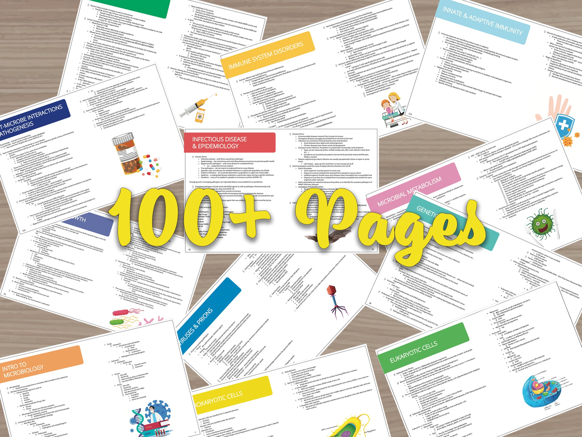 Microbiology Notes Bundle | Microbiology Study Guide | Digital Downloa ...