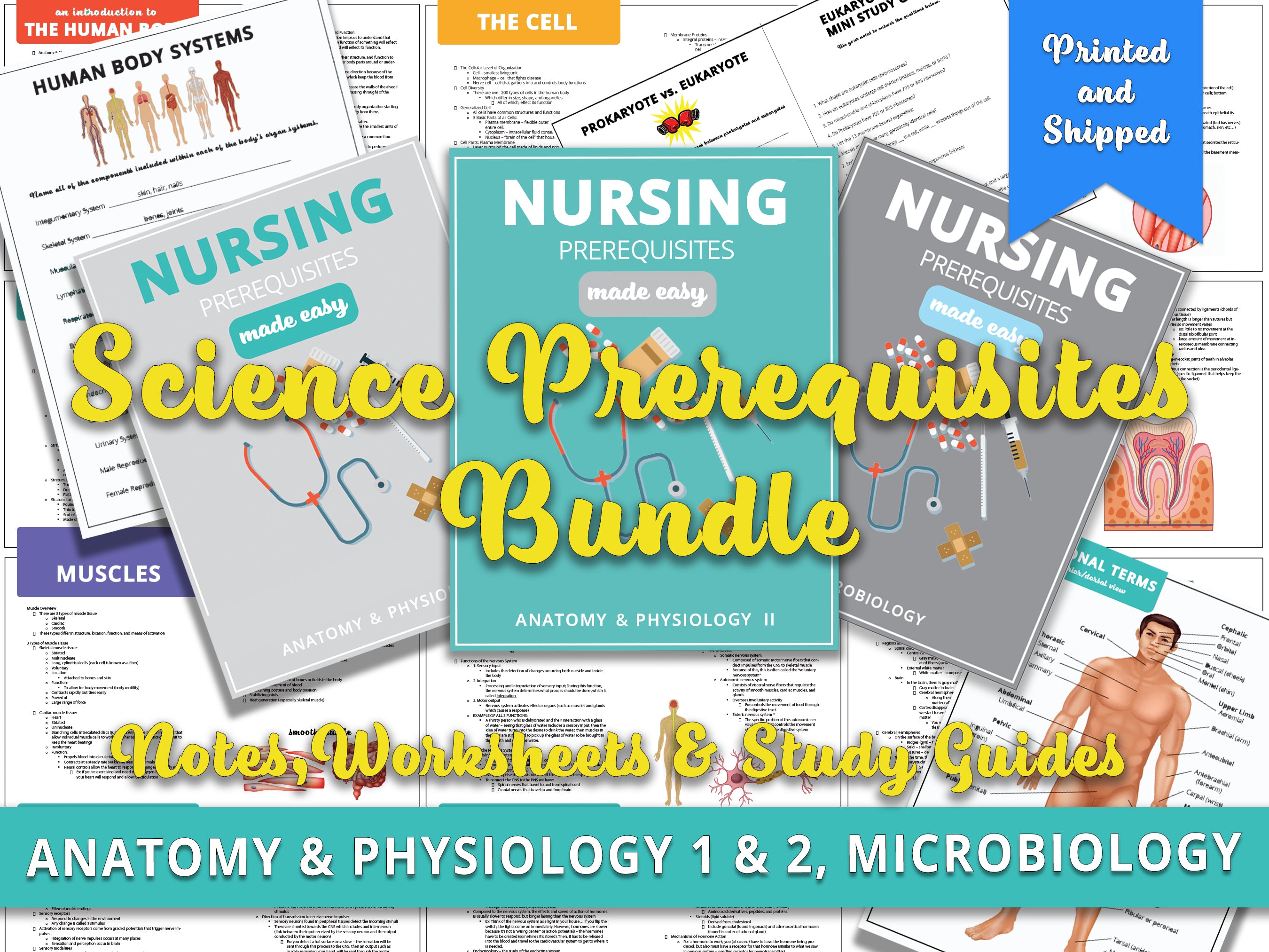 Anatomy & Physiology – Nursing Prerequisites Made Easy